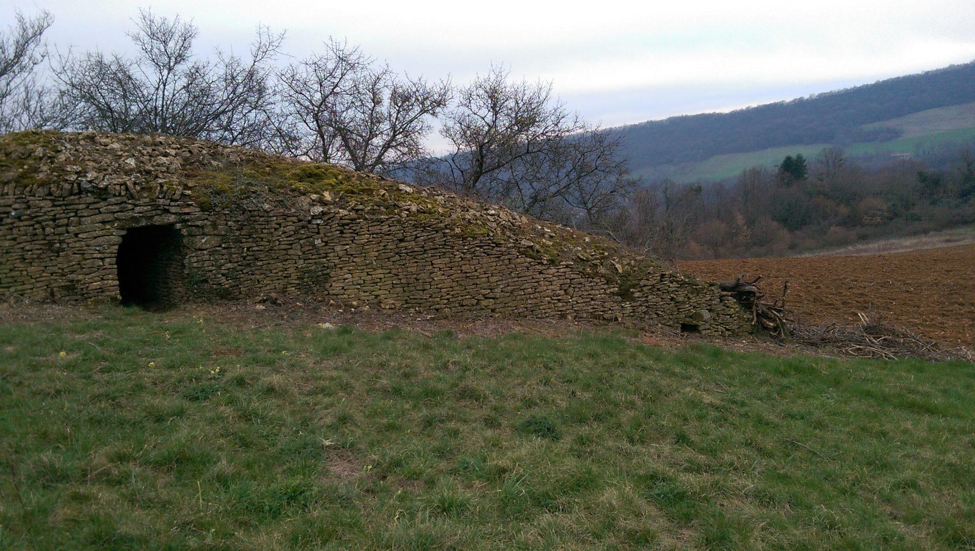 Petite chronique "Je veux faire caca maman... - Izart.fr